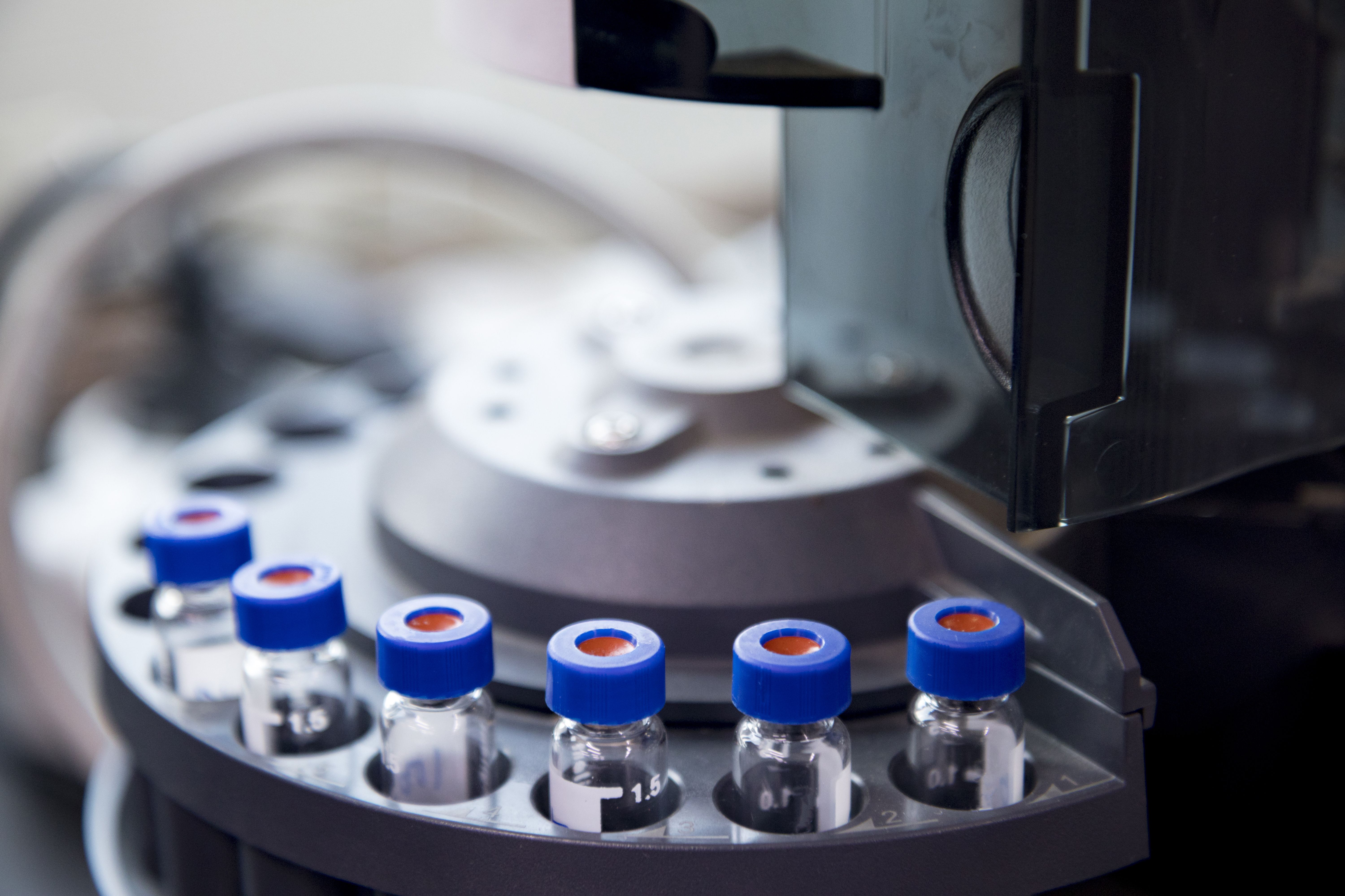 Going Low: Understanding Limit of Detection in Gas Chromatography (GC ...
