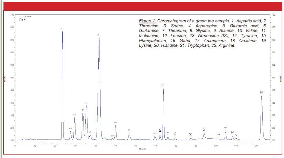 Analysis of Theanine in Green Tea Using the Biochrom 30 Amino Acid Analyser