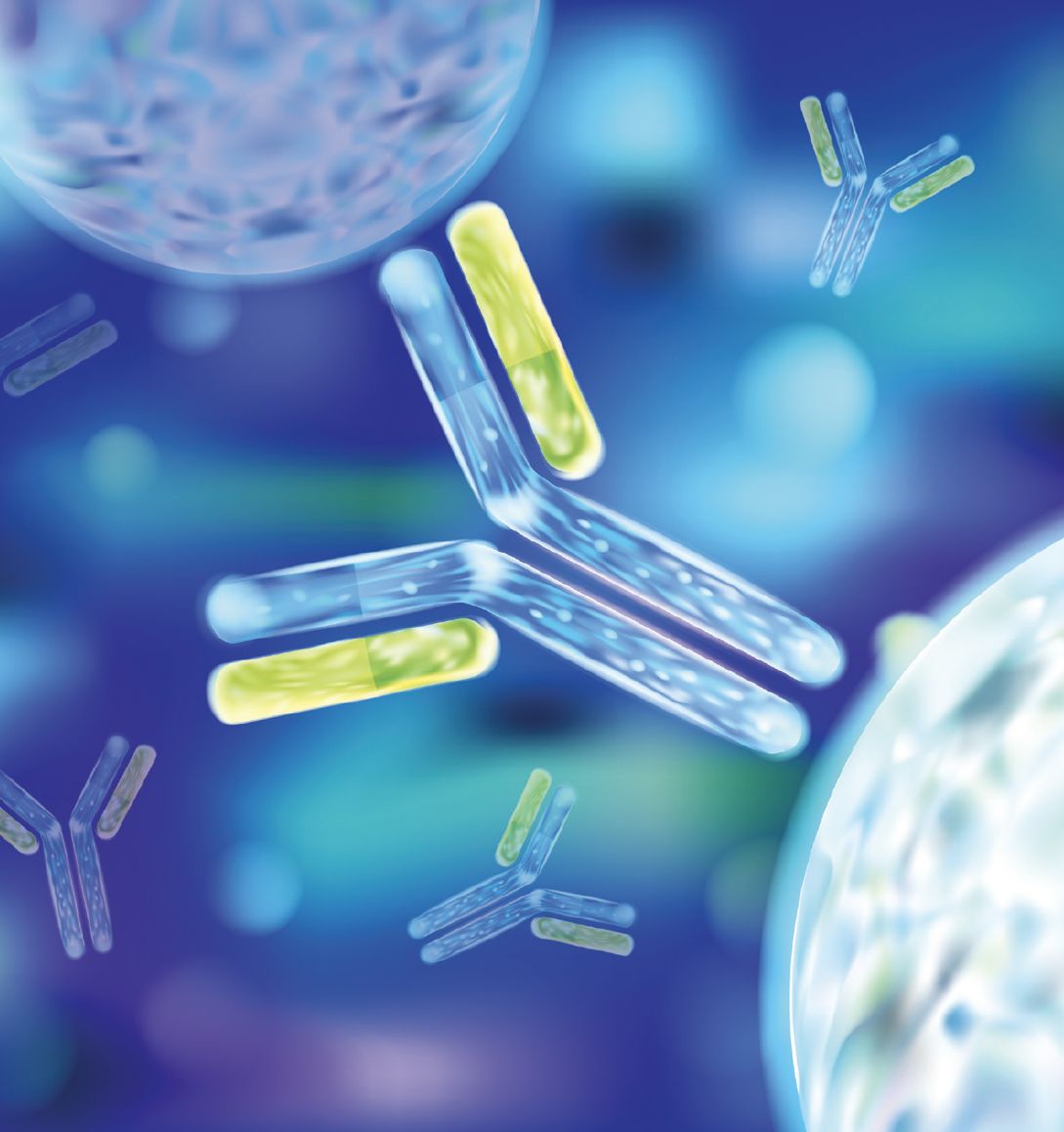 Enhancing Peptide Mapping Sequence Coverage Through An Automated Dual Protease Digest