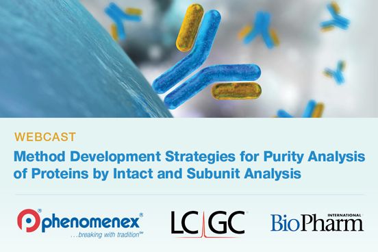 Method Development Strategies for Purity Analysis of Proteins by Intact ...