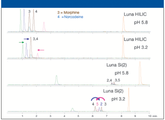 Structured Approach to Method Development for Bioanalytical HILIC–MS-MS ...