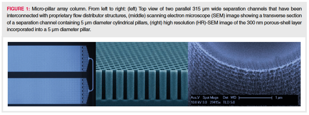 Host Cell Protein Monitoring During Downstream Processing Using Micro ...