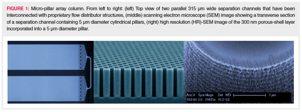 Host Cell Protein Monitoring During Downstream Processing Using Micro ...