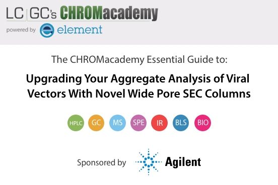 Upgrading Your Aggregate Analysis of Viral Vectors With Novel Wide Pore ...