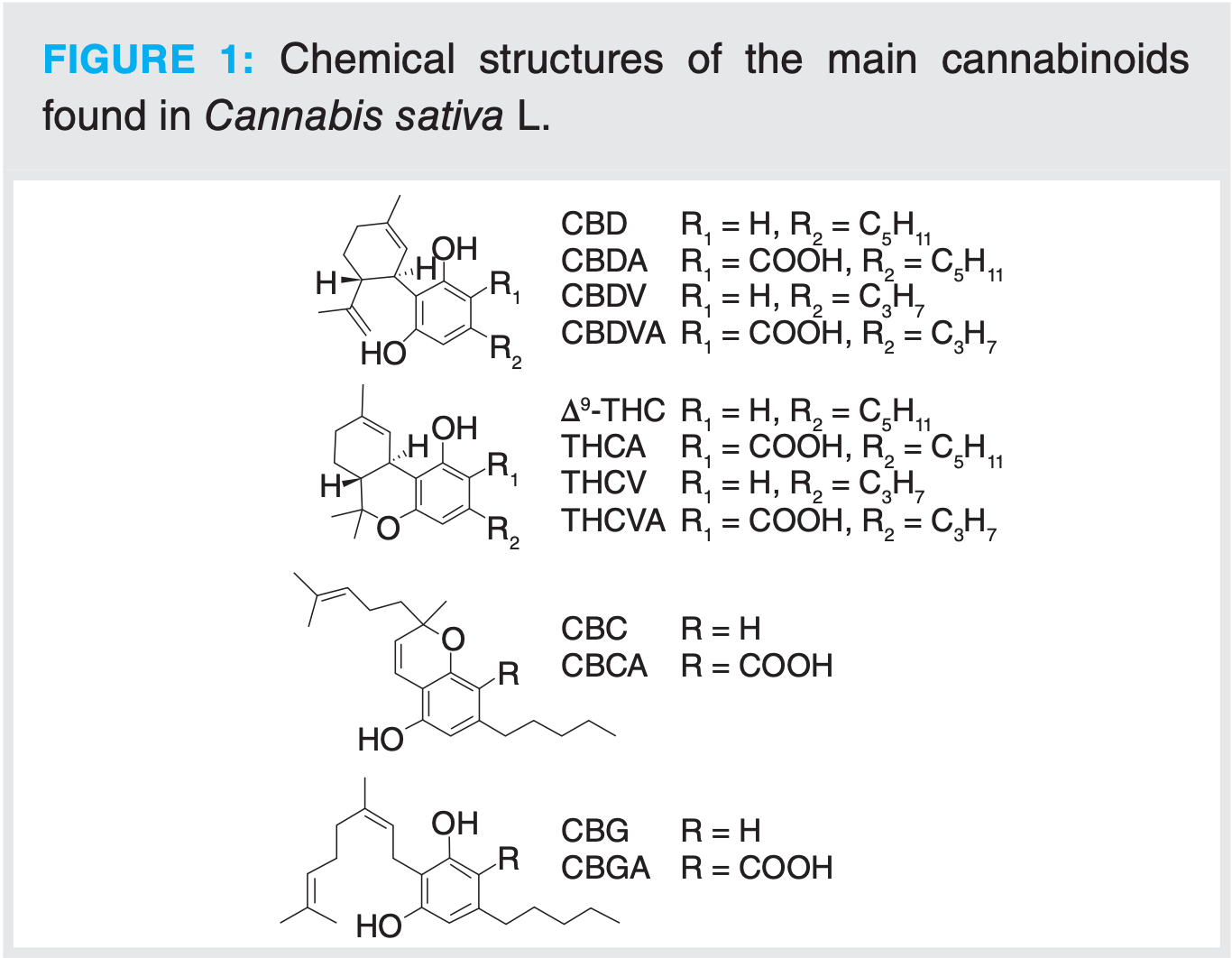 Purification And Isolation Of Cannabinoids Current Challenges And