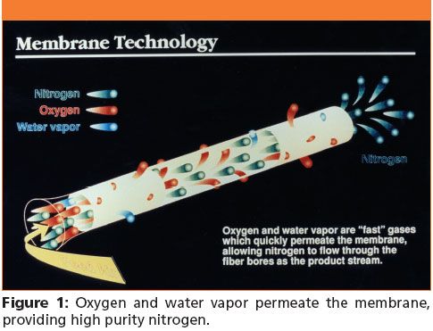 Generating Make-Up Gas for GC with an In-house Nitrogen Generator