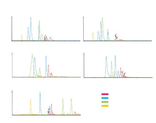 Clinical Metabolomics Expanding The Metabolome Coverage Using Advanced