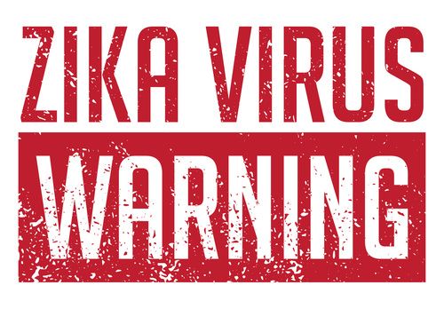 CDC Identifies Risk of Developing Zika Complications Based on Trimester ...