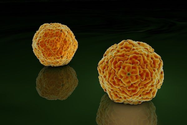 Hepatitis A Outbreaks Continue to Grow in Multiple States