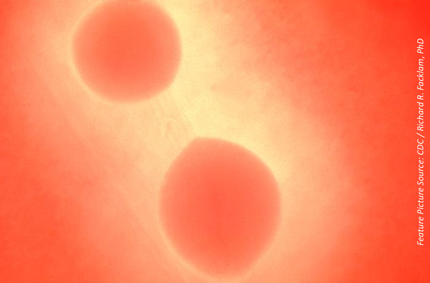 Investigators Warn: Group A Strep Could Be On Its Way to Antibiotic ...