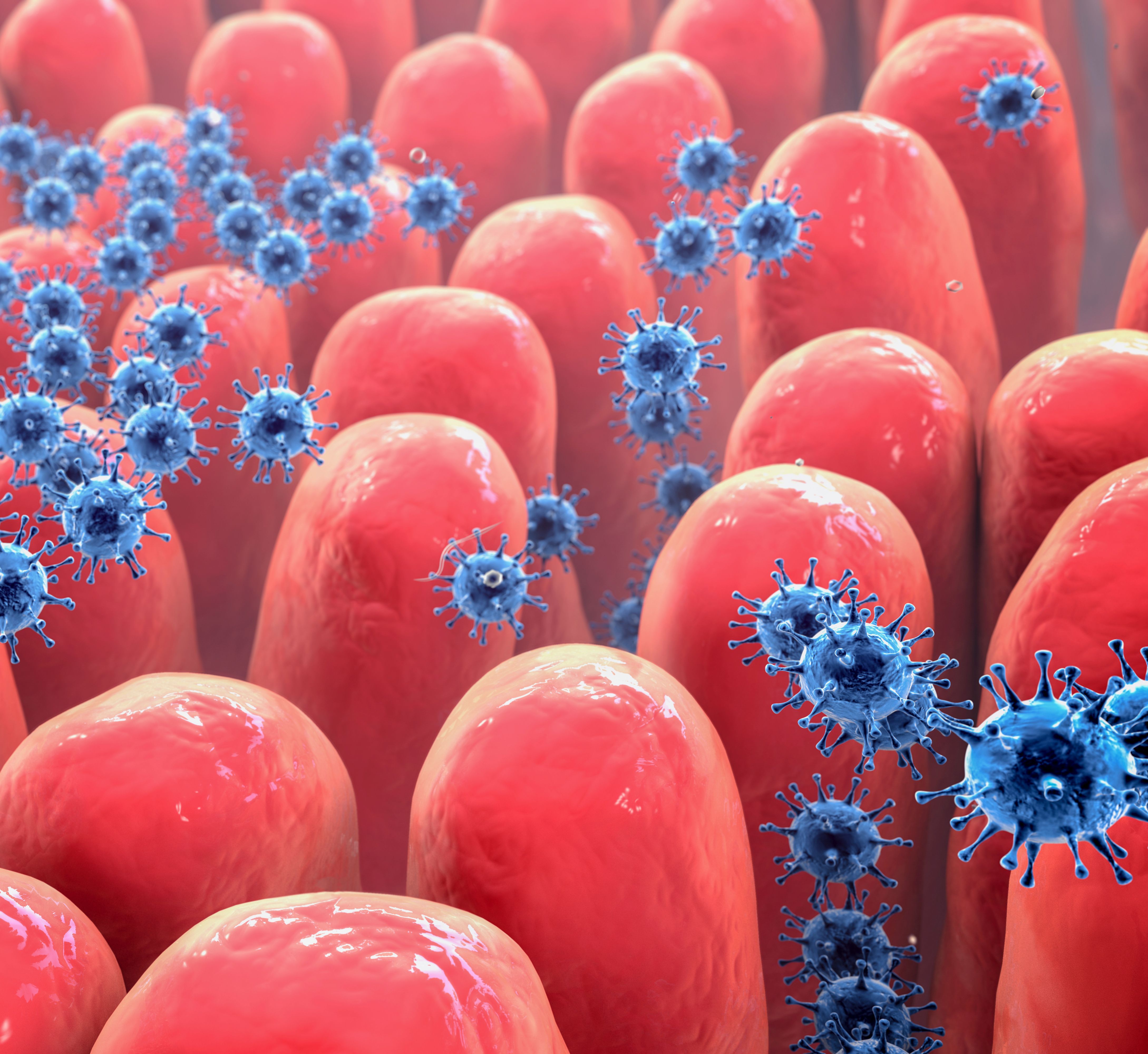 Gut Diseases Increase After COVID-19 Infection and Hospitalization