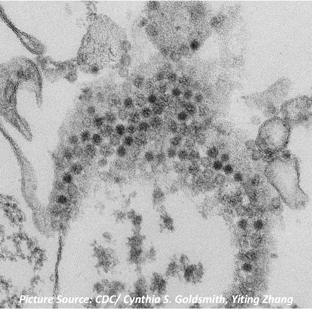 New Report Highlights the Need for Improved Enterovirus and ...