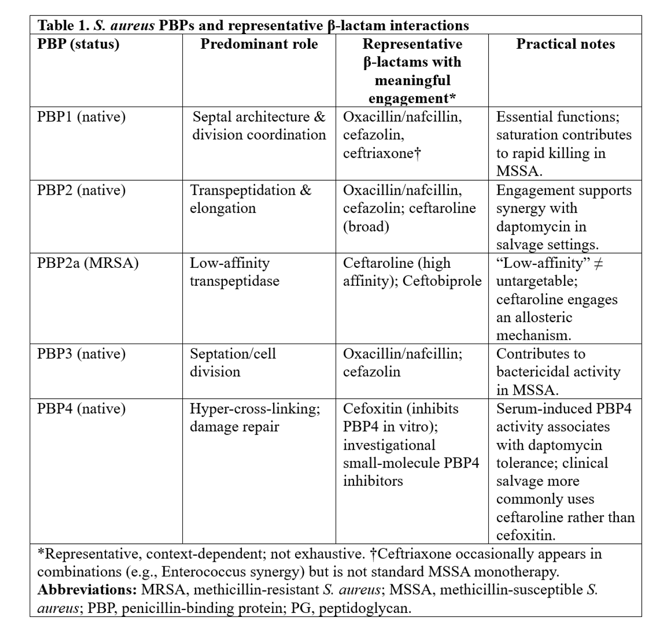 penicillin binding proteins examples