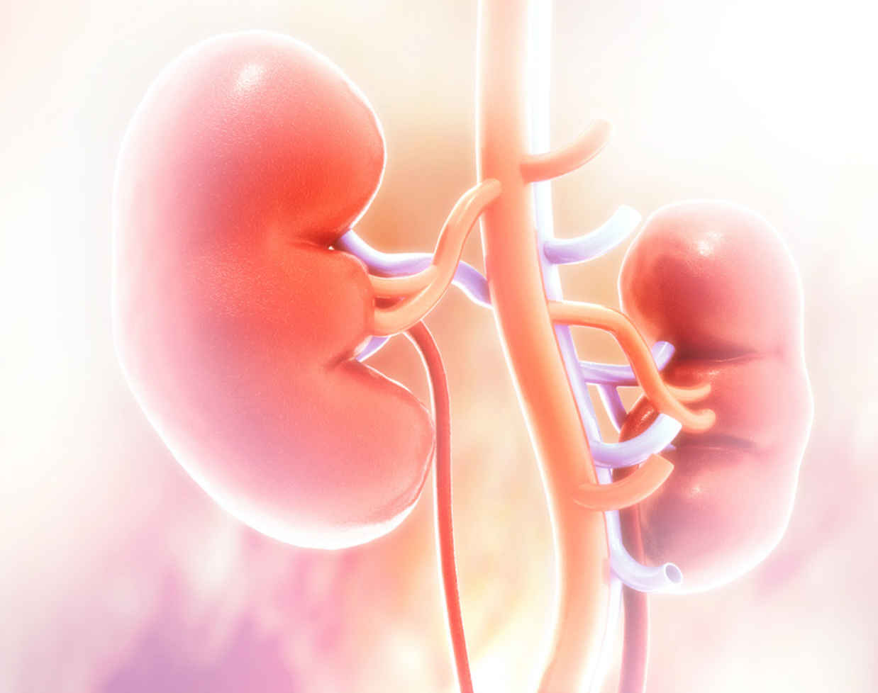 FDA Accepts SNDA For Jardiance As Potential Treatment For Chronic fda-accepts-snda-for-jardiance-as-potential-treatment-for-chronic