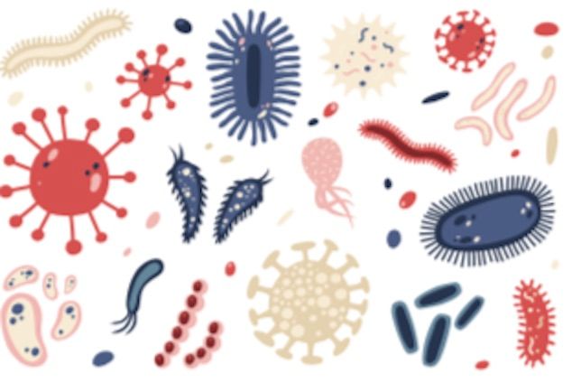 Systemic Antifungals and Common Interactions