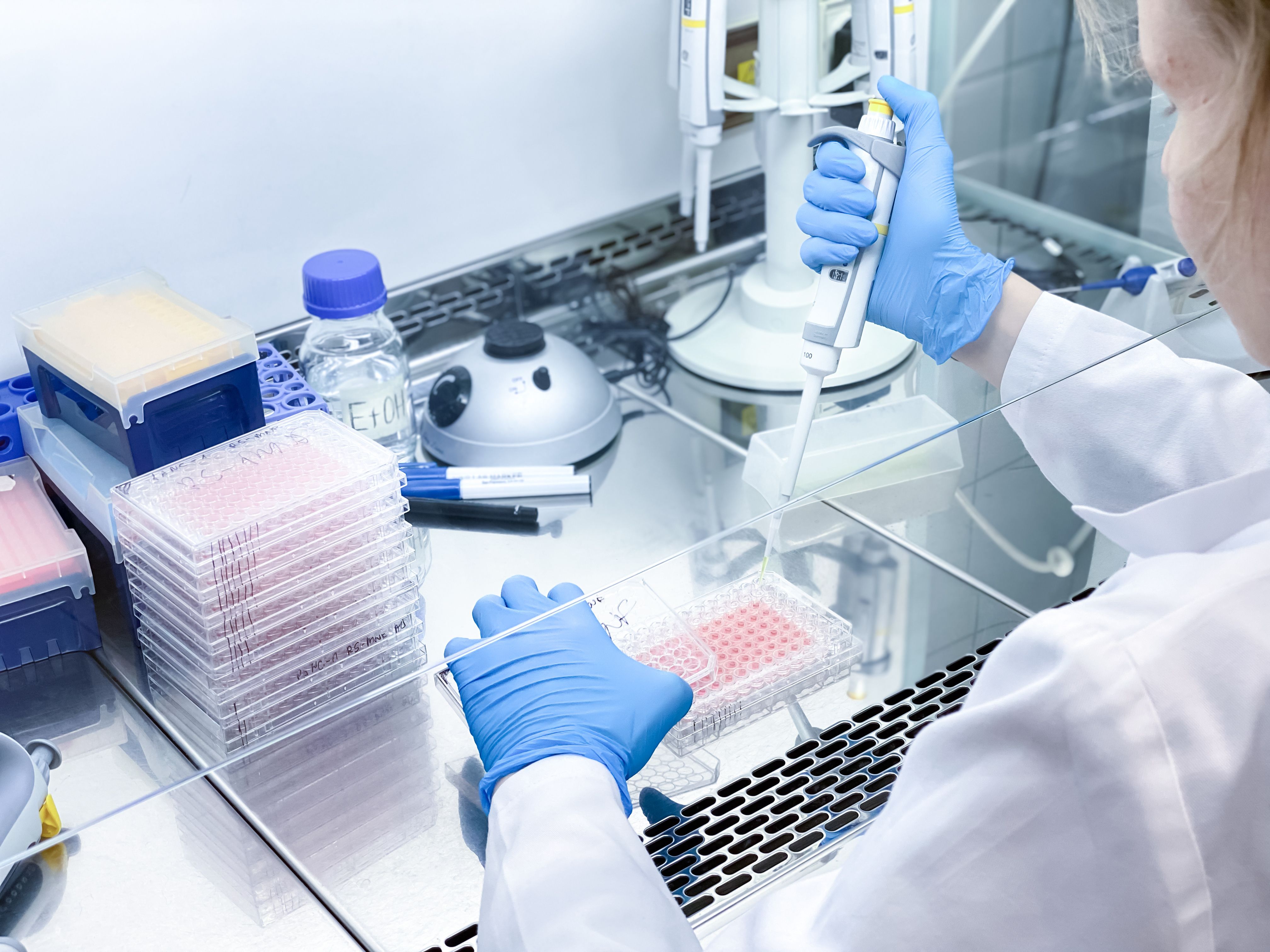 New molecular test to detect organisms causing vaginitis/vaginosis ...
