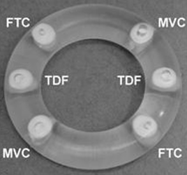 Will a Novel Intravaginal Ring Be the Future of HIV Prevention?