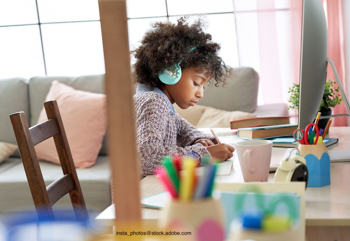 The challenge of virtual learning