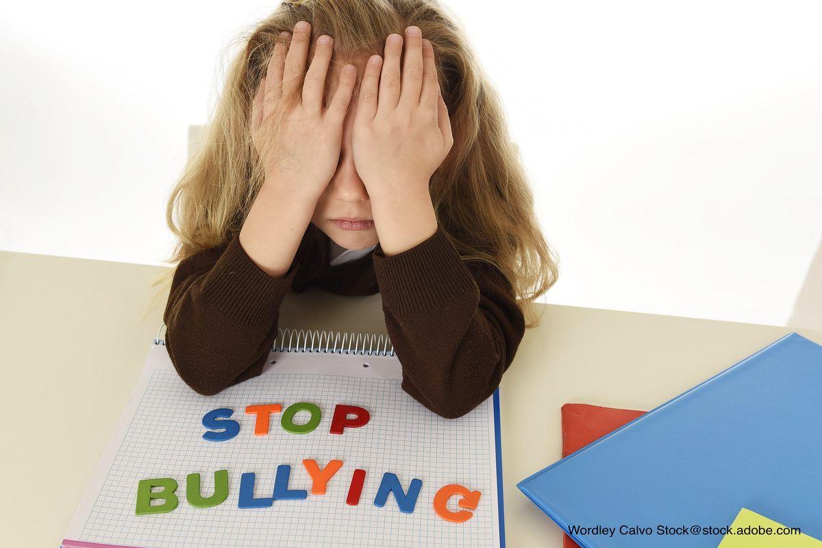 Judging the efficacy of anti-bullying programs