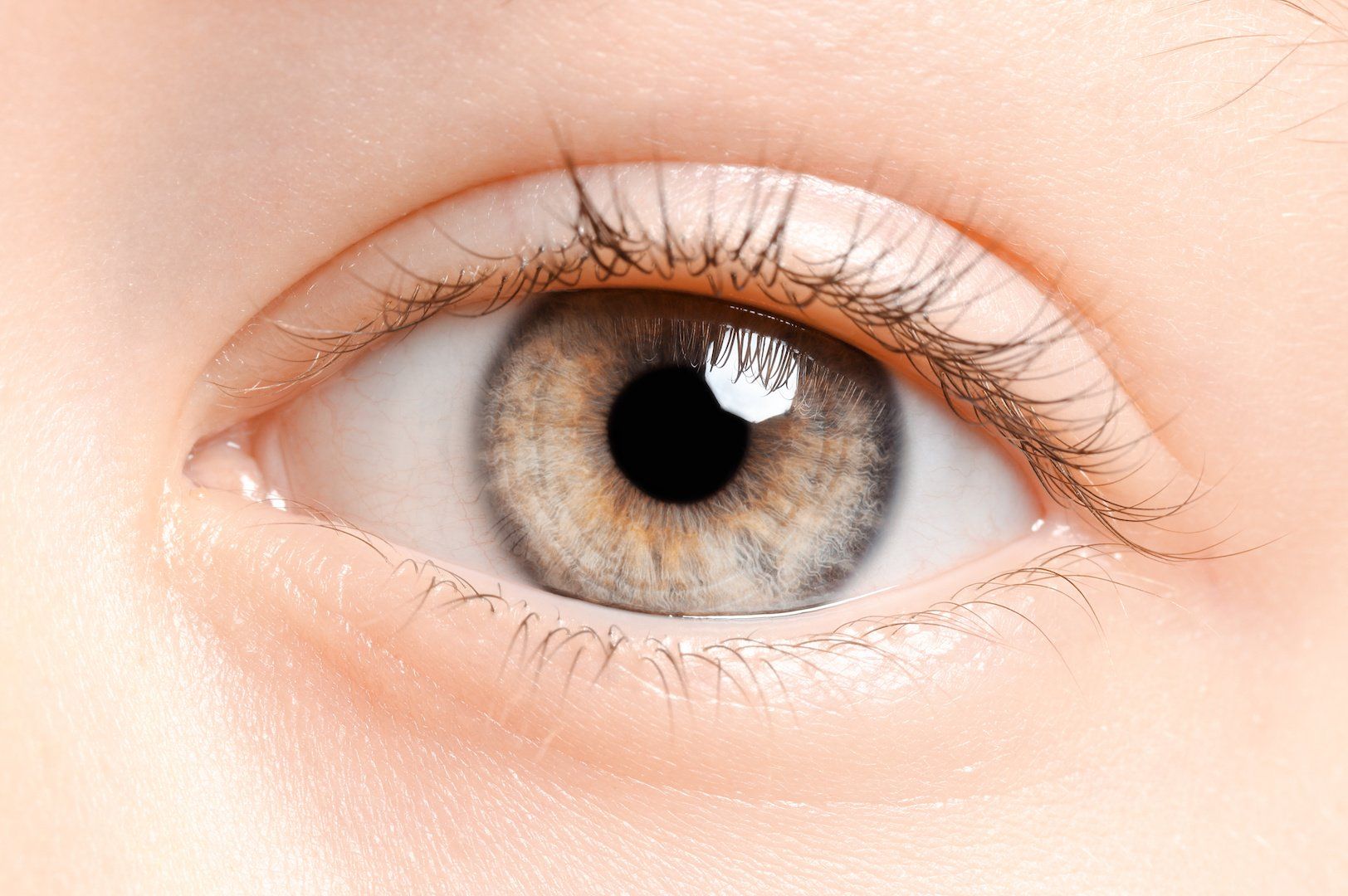 Ocular emergencies: What pediatricians and frontline physicians need to ...