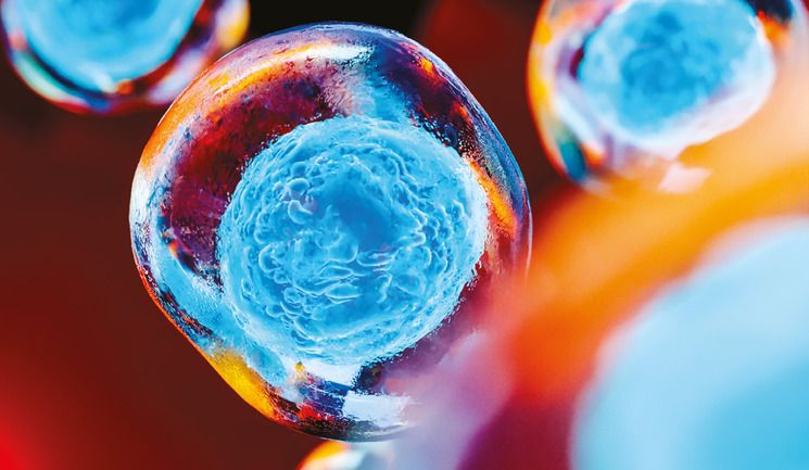 Quick Guide to Regulatory Issues for Regenerative Aesthetic Medicine