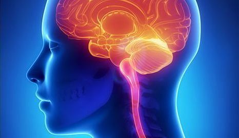 “Stunning” Brain Movement Detail Possible with 3D Amplified MRI