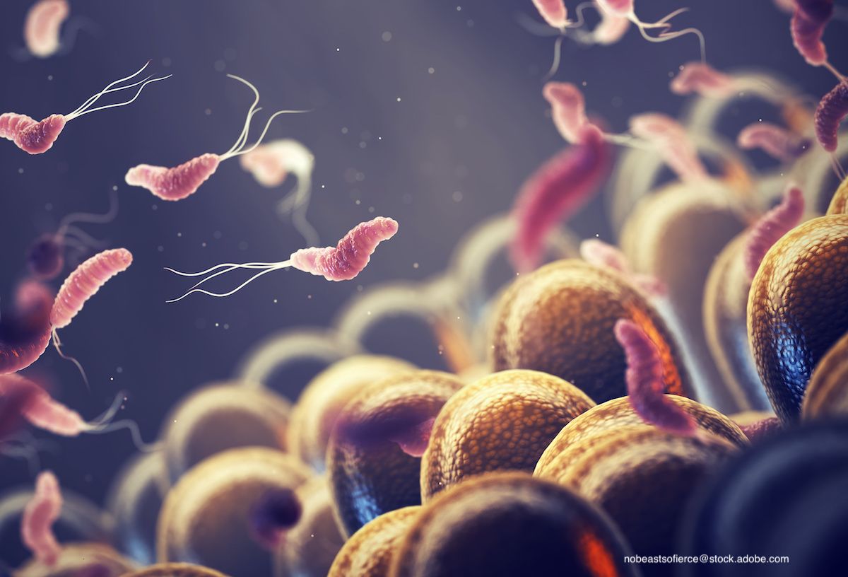 FDA Approves Voquezna for Helicobacter pylori Infection in Adults ...