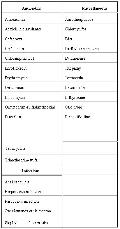 Erythema multiforme in dogs and cats (Proceedings)
