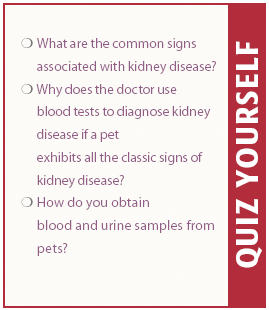 Do you know your stuff?