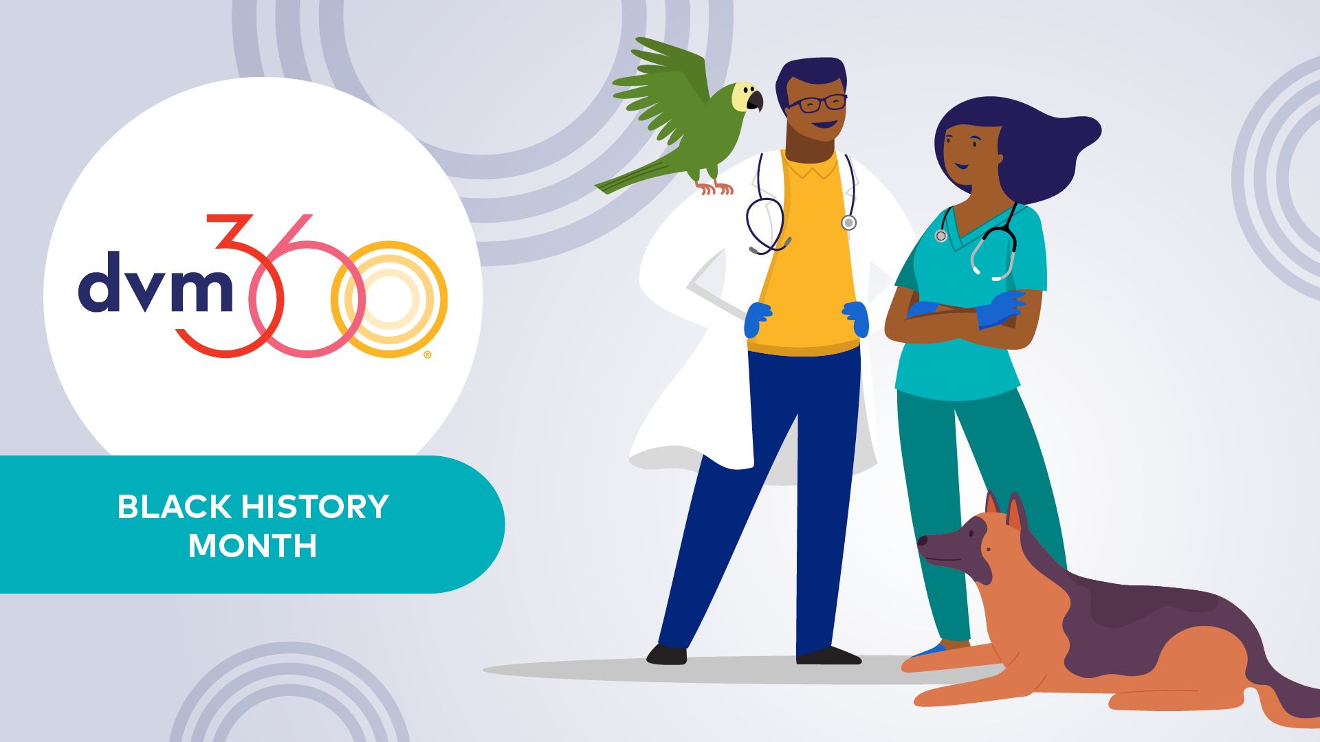 Meet the BlackDVM Network