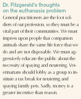 An Interview with Dr. Kevin Fitzgerald