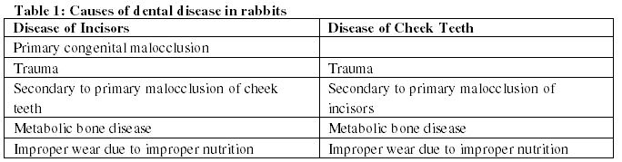 Dentistry of rabbits (Proceedings)