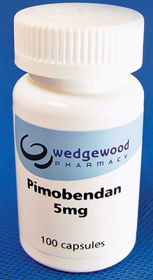 Compounded Pimobendan