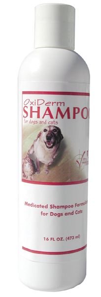 Shampoo