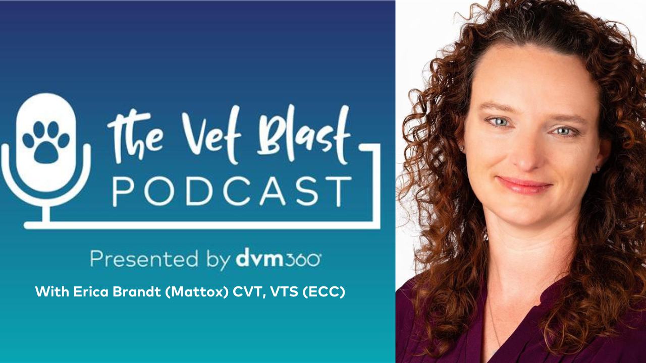 5 tips to successfully navigate patient triage