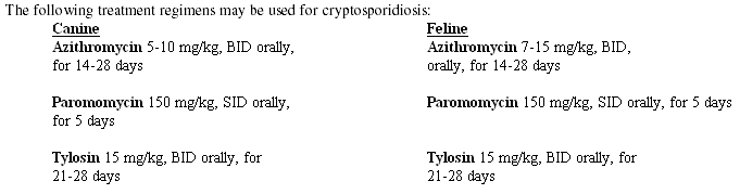 What Causes Dog Clostridium