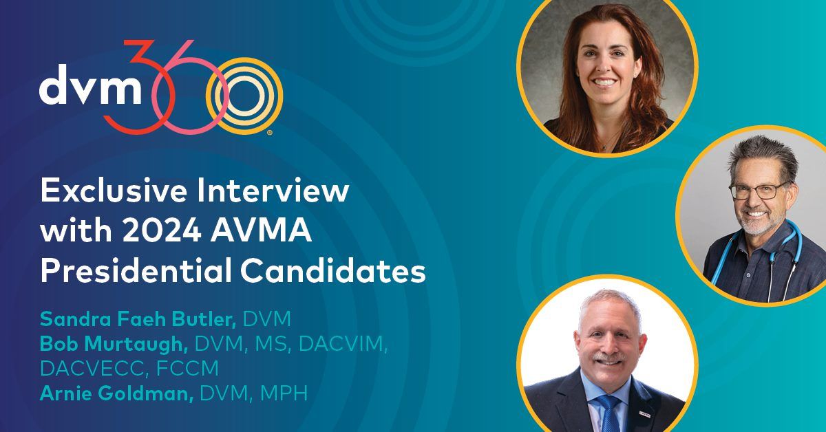 AVMA presidential candidate: Bob Murtaugh, DVM, MS, DACVIM, DACVECC, FCCM