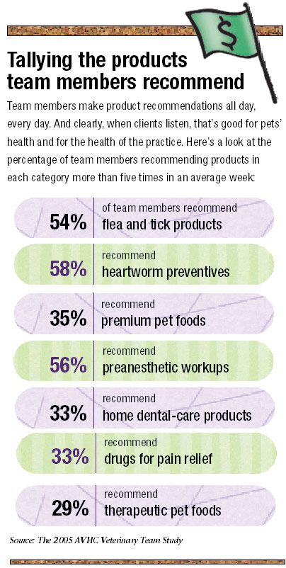 Team members make strong recommendations