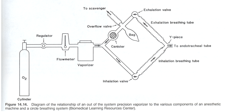 Anesthesia machine and scavenging (Proceedings) | dvm360
