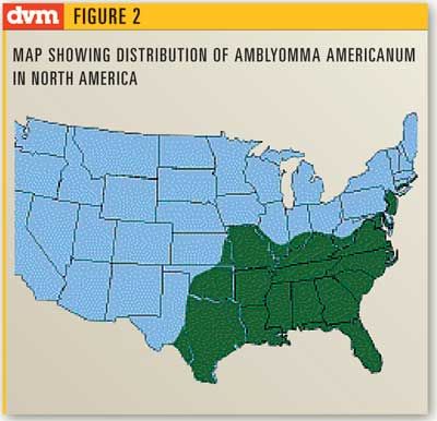 Southern tick-associated rash illness: A newly recognized tick-borne ...