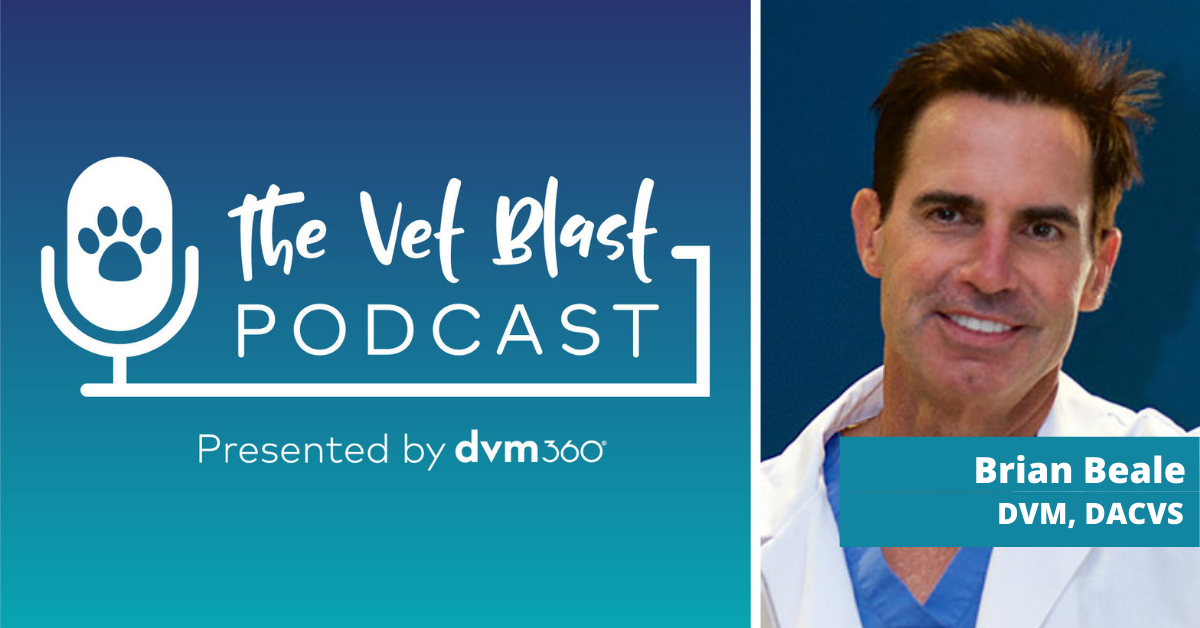 Brian Beale talks orthopedic surgery and Animal ER on Nat Geo