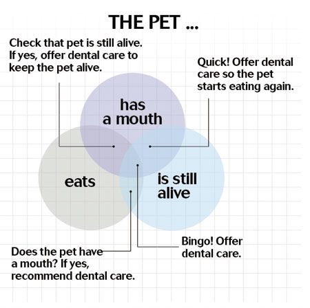 Veterinary snark charts | dvm360