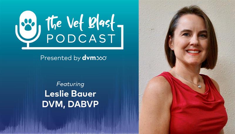 Reimagining veterinary post graduate education