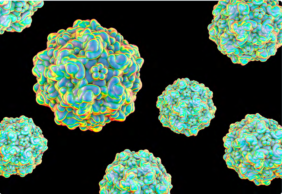 CPMA: The first antiviral canine parvovirus treatment