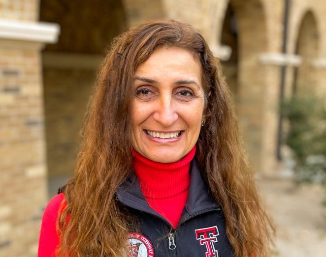 Texas Tech names new professor of veterinary communications