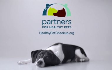 Television commercials released to promote preventive veterinary care