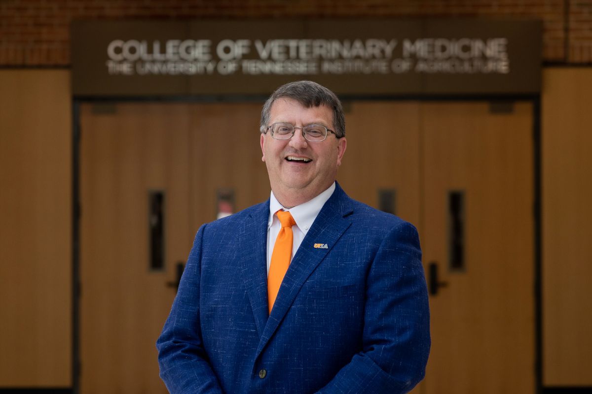 Paws and profits: UT College of Veterinary Medicine dean elected AAM ...