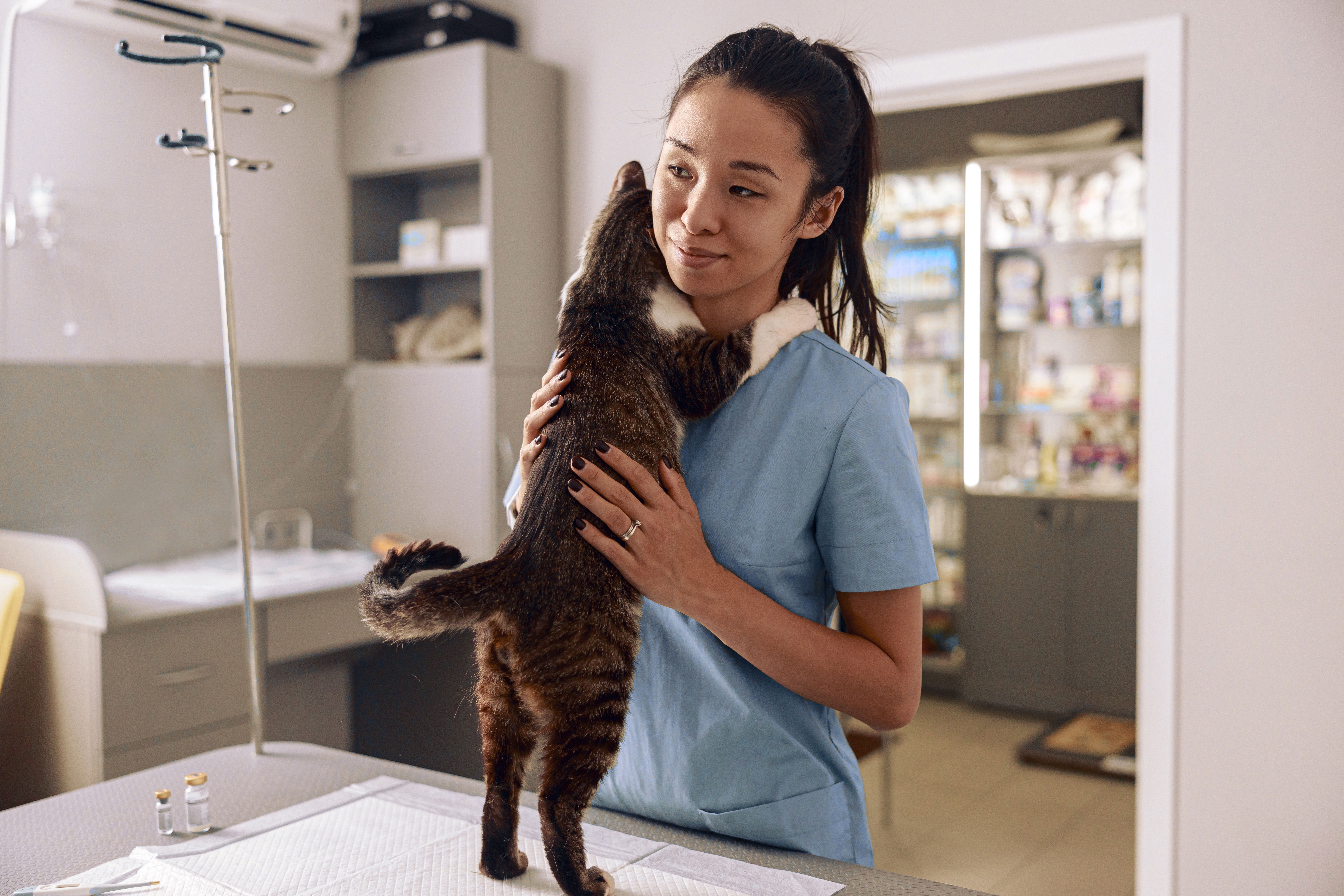 Q&A: Not One More Vet is on a CLEAR mission | dvm360
