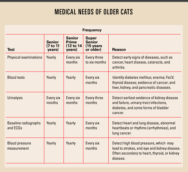 Educating clients about their cats' healthcare