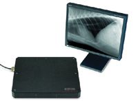 Digital Radiography